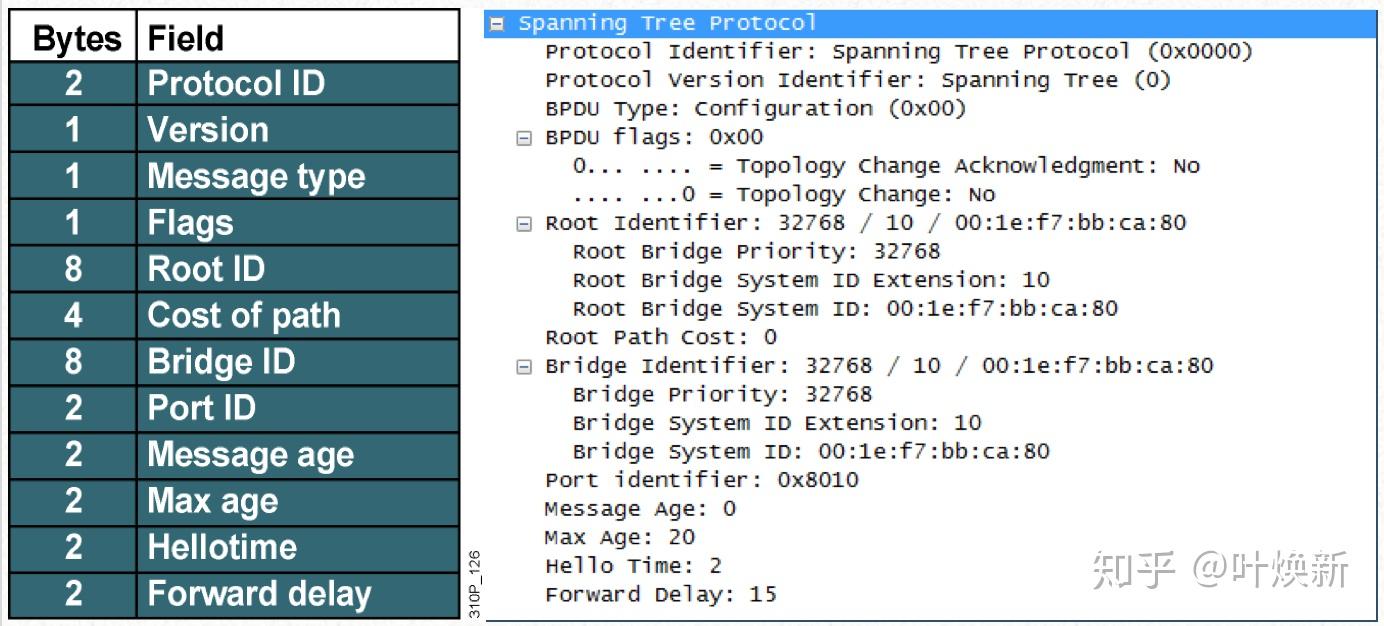 如何理解STP生成树协议？ - 知乎