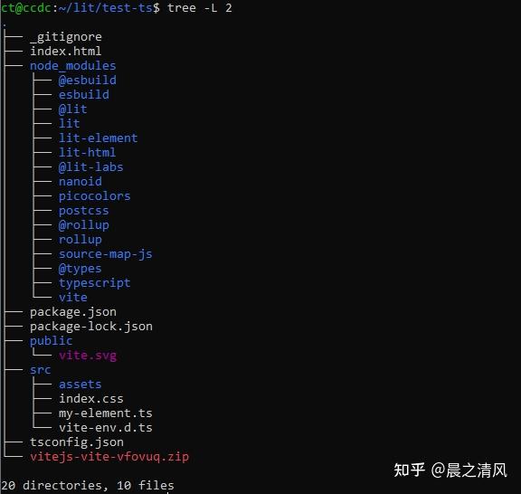 用Vite构建Lit项目 - 知乎