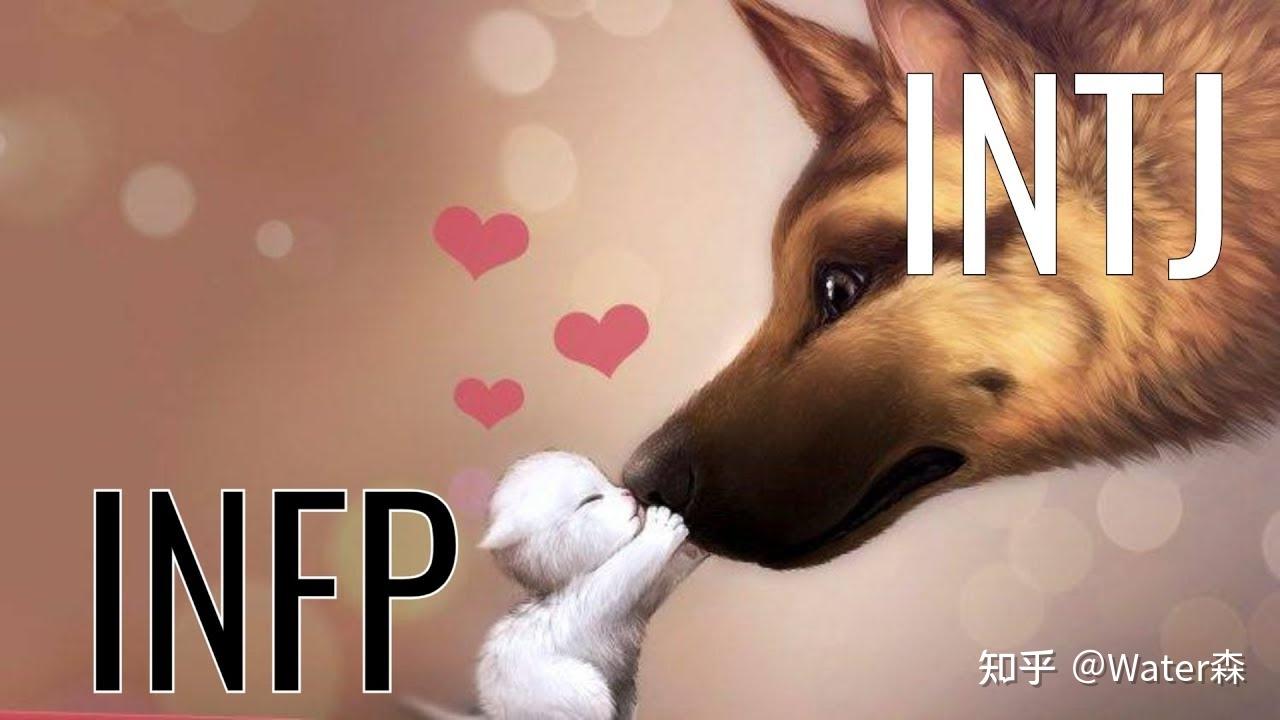 INFP x INTJ 心灵知己的契合、挑战和机遇 - 知乎