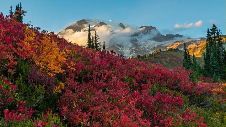 BIQA（多模态） - 知乎