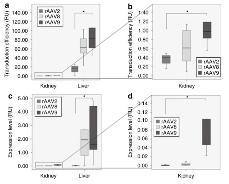 肾脏研究中常用的AAV注射方式有哪几种？ - 知乎