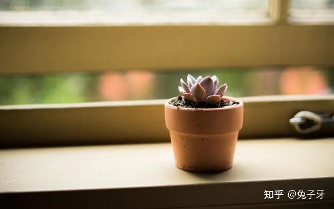 Java 开发必备！ I/O与Netty原理精讲 - 知乎