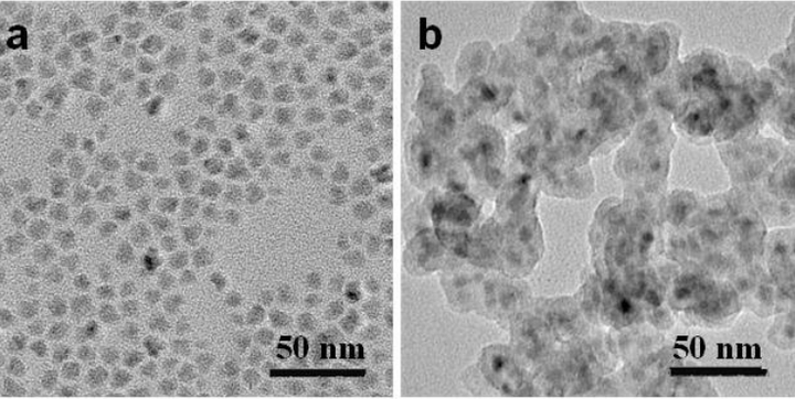 10nm粒径量子点CdSe/ZnS-PMAH-SiO2/PAMAM接枝聚马来酸酐 - 知乎