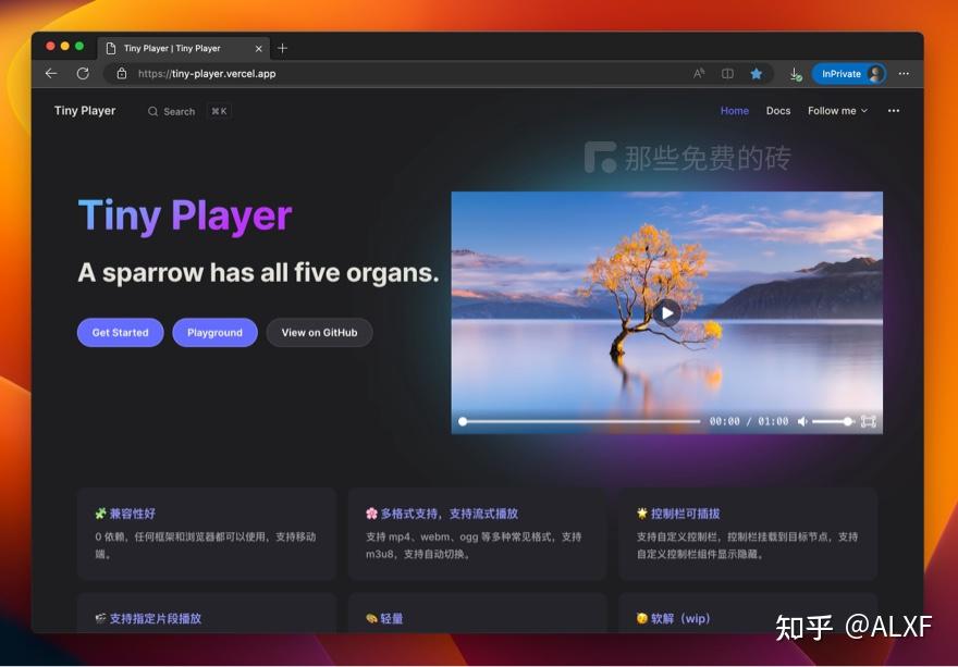 Tiny Player (js) - 轻量好用、免费开源的 web 视频播放开发组件，内置硬解、软解视频功能 - 知乎