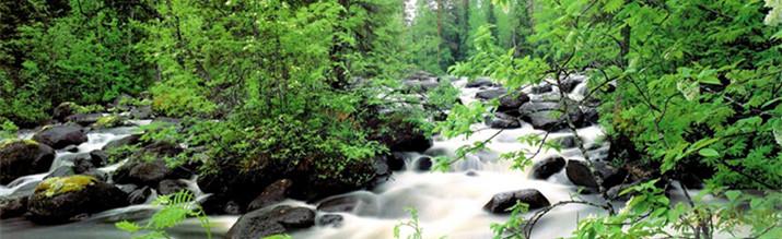 英语词语杂谈（115）that aside 与 aside from that - 知乎