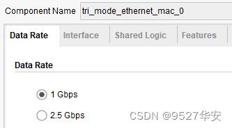 FPGA无网络芯片实现千兆TCP/IP协议栈，基于1G/2.5G Ethernet PCS/PMA or SGMII方案，提供18套工程源码和技术支持 - 知乎