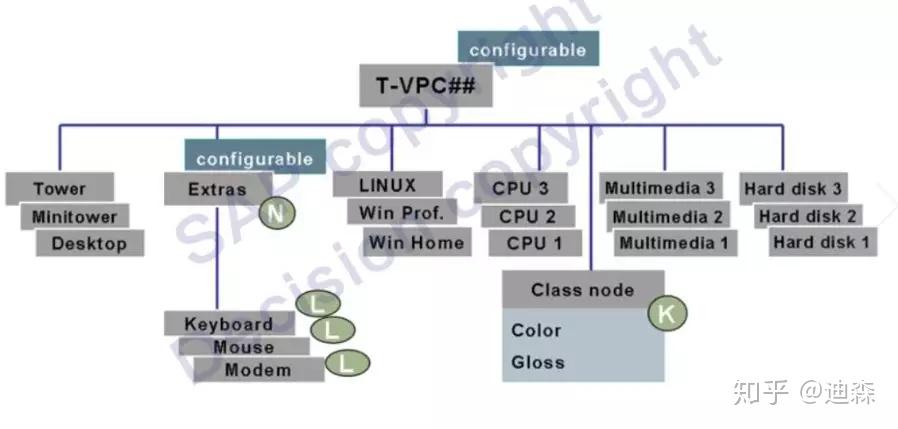 SAP公司-迪森微课堂-SAP独门神器之VC变式配置，硬核整理版重磅推出！ - 知乎