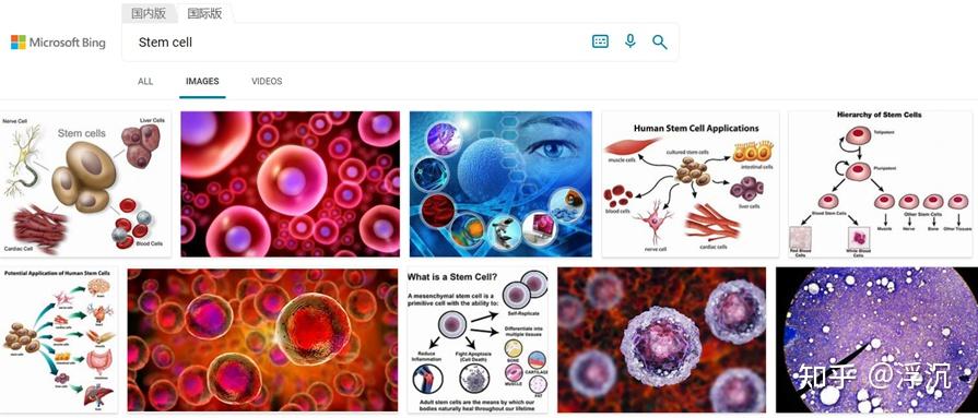 论文图片格式处理技巧：JPEG、EPS、TIFF怎么选？分辨率怎么调？ - 知乎