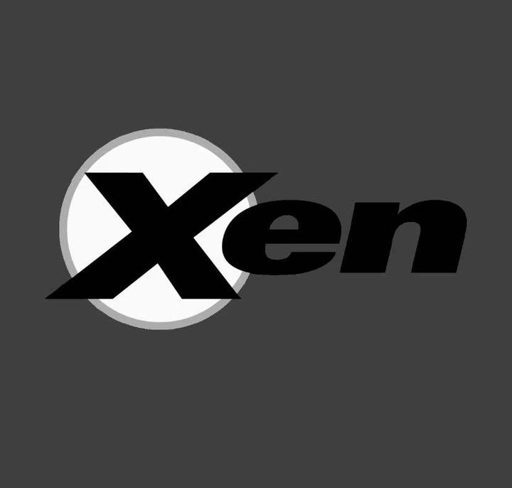 一文了解大火的全民共建虚拟挖矿项目XEN - 知乎