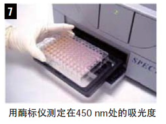 CCK-8 细胞活力检测的基本原理及综述 - 知乎