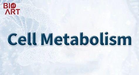 Cell Metab | 代谢检测进入单细胞时代 - 知乎