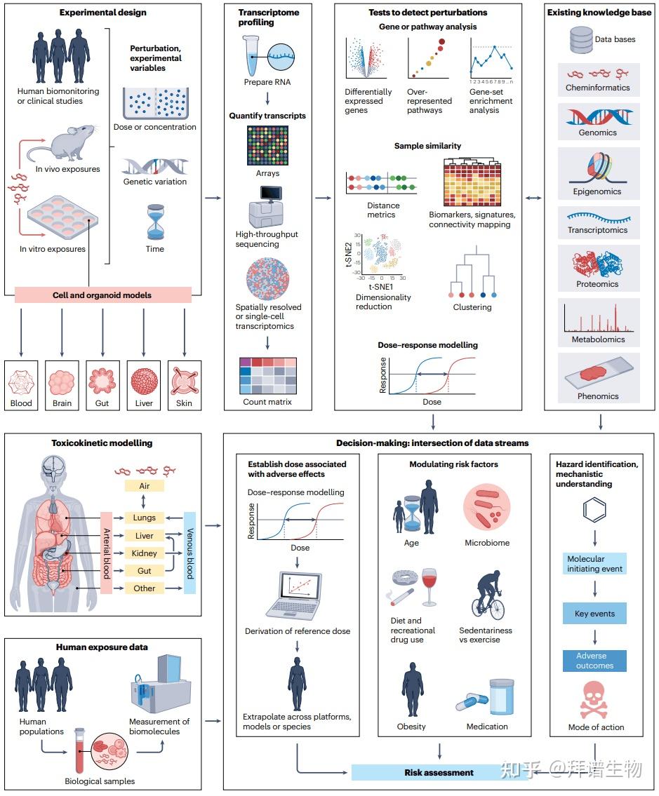 Nat Rev Genet (IF 39.1) | 探索健康基因密码---毒理学的智慧防护 - 知乎