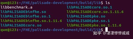 Ubuntu 安装 PALISADE 库 - 知乎