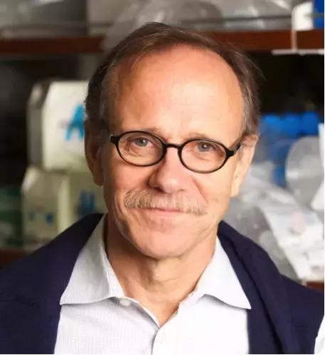 20年的海马体研究将成“空中楼阁”？《Nature》发布中美联合研究：成人以后，大脑竟不再生成神经元 - 知乎