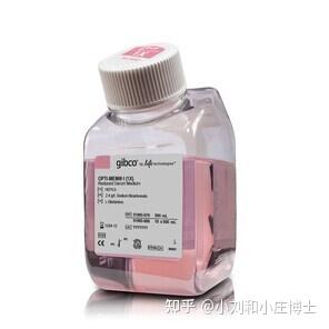 详解转染利器lipo3000的使用说明书 - 知乎