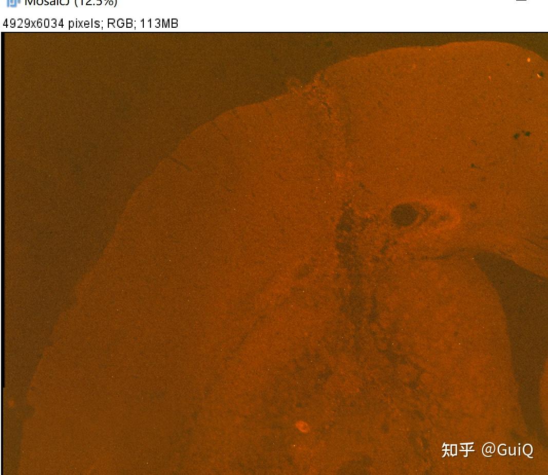 Image J Fiji使用：mosaicj拼图教程 - 知乎