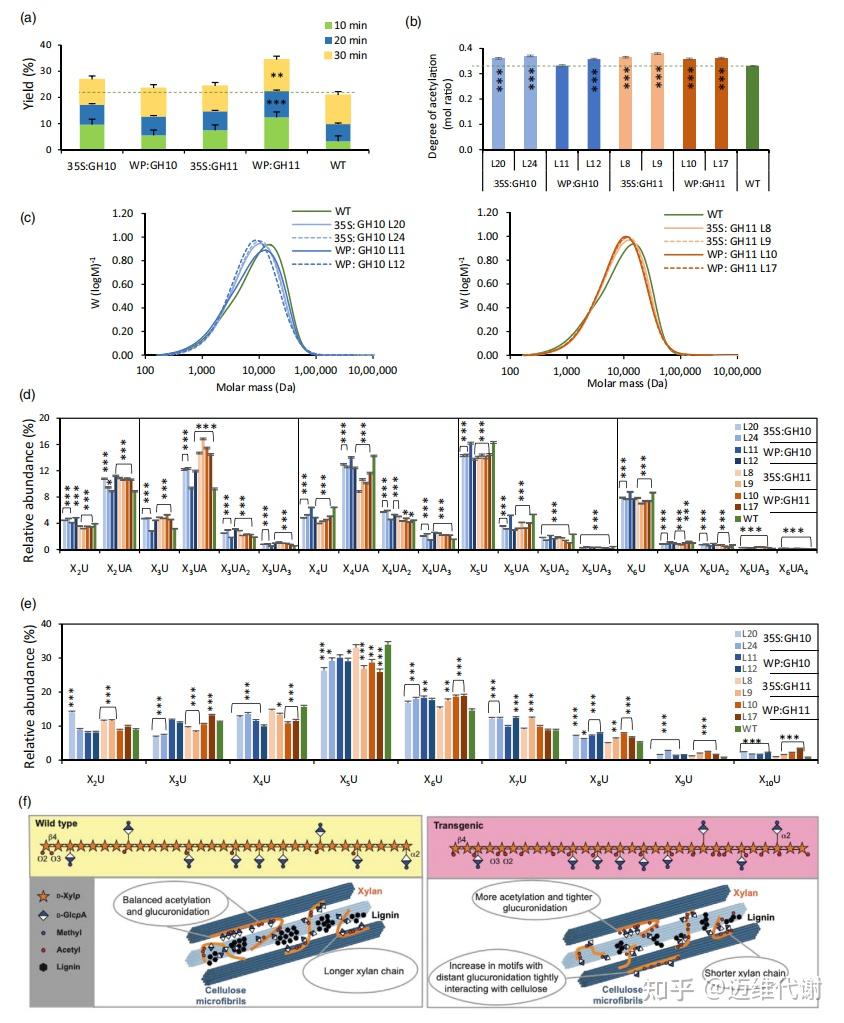 转录组+代谢组揭示木聚糖修饰重塑细胞壁与木材利用新机制 - 知乎