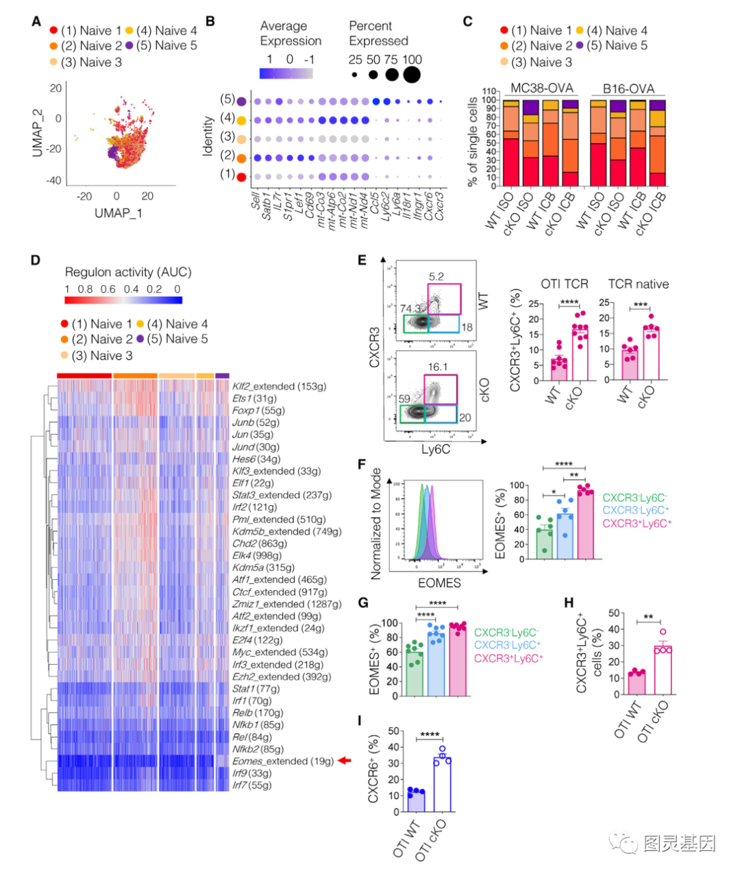 Can Cell | 哈佛医学院揭示肿瘤免疫原性决定免疫治疗对TCF1的依赖性 - 知乎