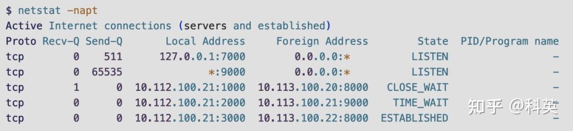 十年码农内功：TCP篇（第2版） - 知乎