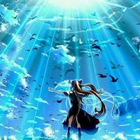 galgame开发入门资料 - 知乎