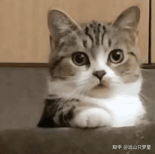 uoffer global真的让我泪目了 - 知乎