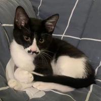 vue请求接口报：Failed to execute 'setRequestHeader' on 'XMLHttpRequest': - 知乎