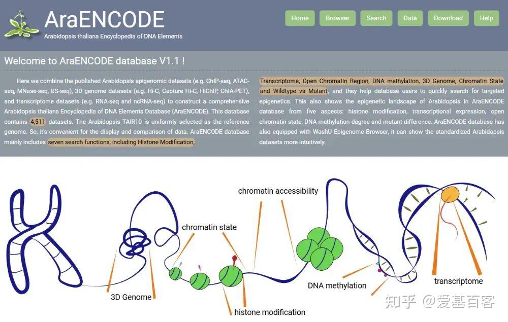从ENCODE到植物pENCODE：表观图谱正当时，附数据库盘点 - 知乎