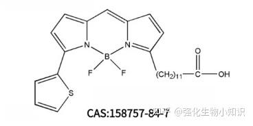 BODIPY 558/568 C12；Red C12它是一种偶联脂肪酸的荧光探针 - 知乎