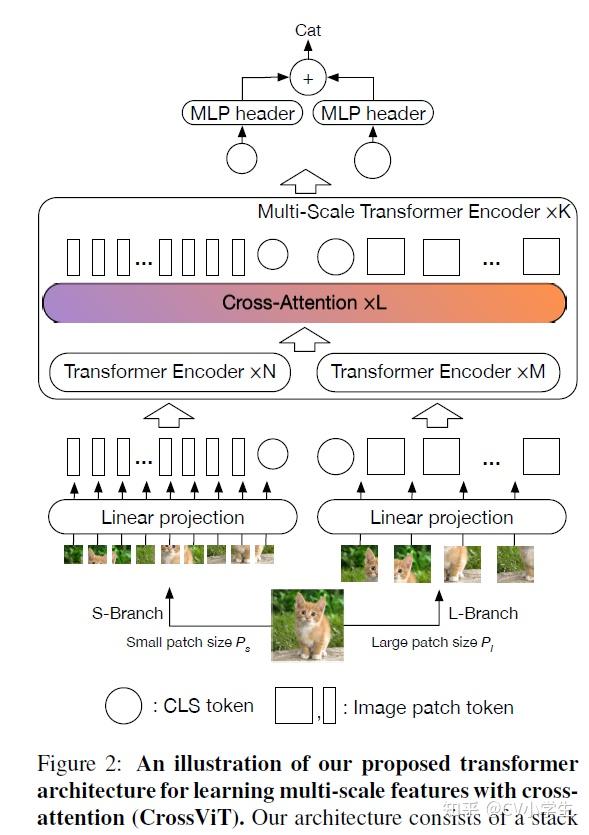 [论文阅读]CrossViT: Cross-Attention Multi-Scale Vision Transformer for ...