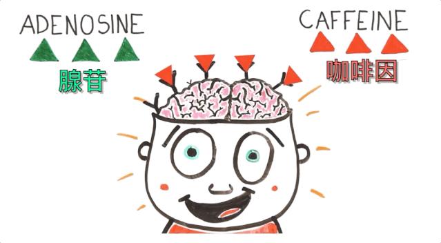 咖啡之于头痛，是敌是友？ - 知乎