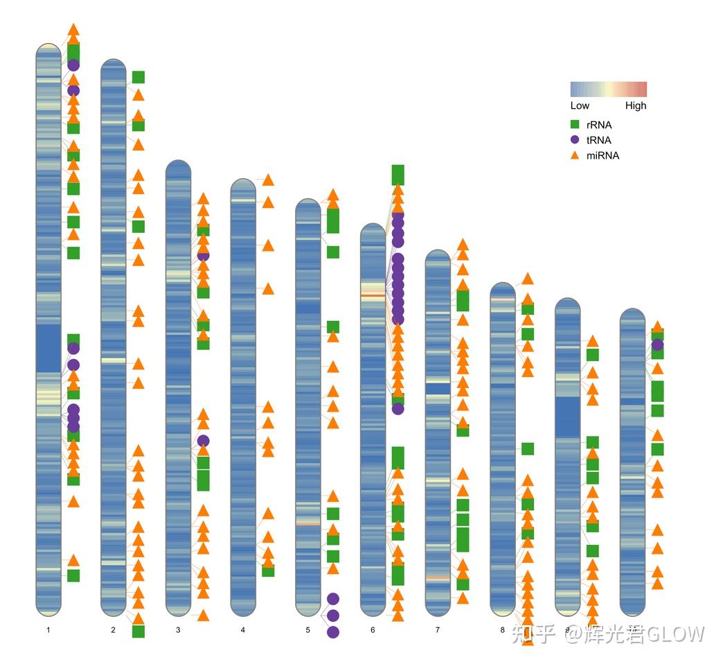 生信软件5 - RIdeogram包绘制染色体密度图 - 知乎