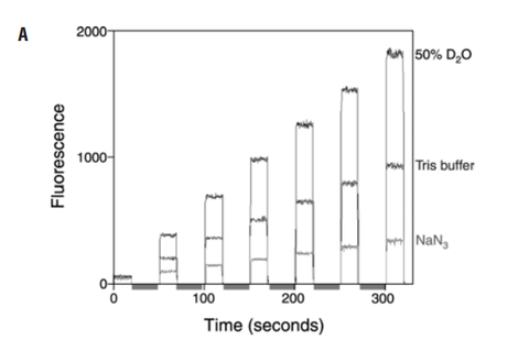 SOSG单线态氧荧光探针 - 知乎