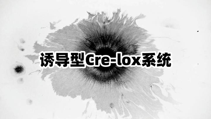 诱导型Cre-lox系统 - 知乎
