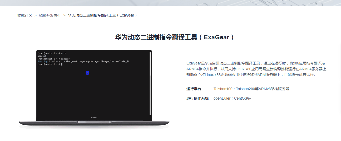 菊花的动态二进制翻译工具（Exagear）性能简测 - 知乎