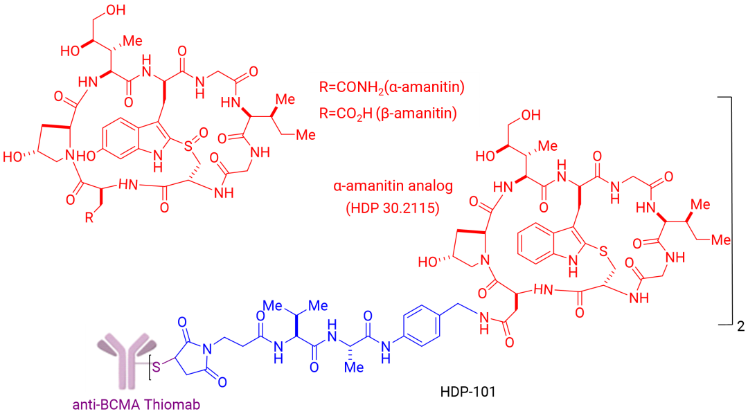ADC有效载荷（Payload）的发展及其药代动力学考量 - 知乎