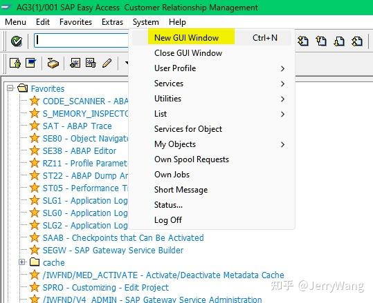 SAP Fiori Belize 主题应用在 SAPGUI 里的一些要点 - 知乎