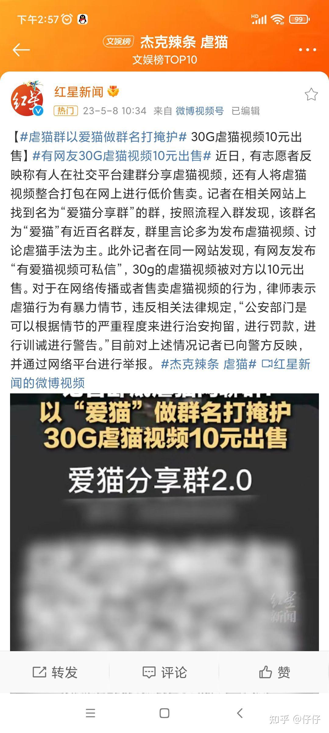 博主杰克辣条再次虐猫,如何评价他的行为? 知乎