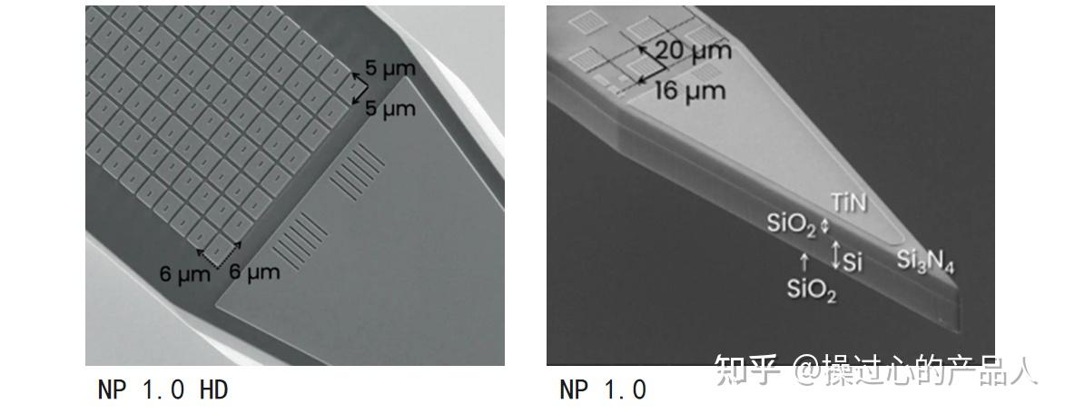 一文读懂（1）- Neuropixels - 知乎