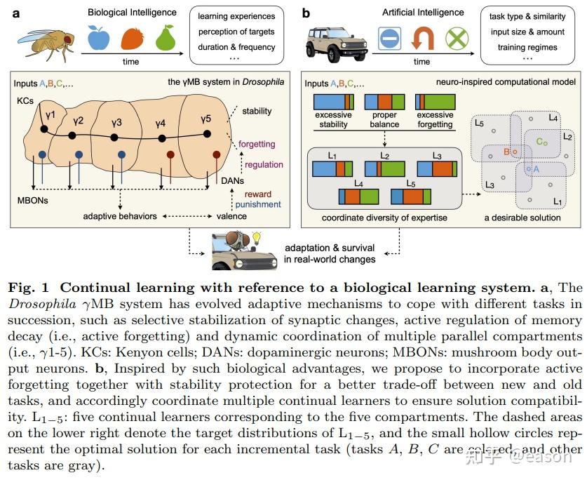 Arxiv 8.30 持续学习/增量学习/终身学习 continual learning/incremental learning ...