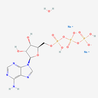 ATP-Na2（三磷酸腺苷二钠）；CAS号： 34369-07-8 - 知乎
