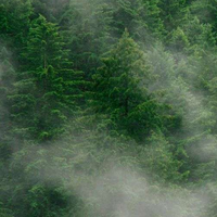 LatentVLA: Efficient Vision-Language Models for Autonomous Driving via ...