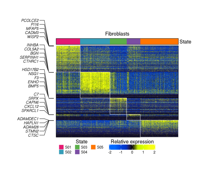 10X单细胞空间数据分析之表征细胞状态和生态型（EcoTyper示例代码） - 知乎