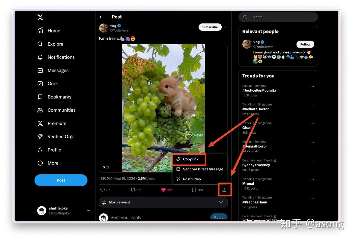 终于找到办法了！教你怎么从 X(Twitter) 下载视频！ - 知乎