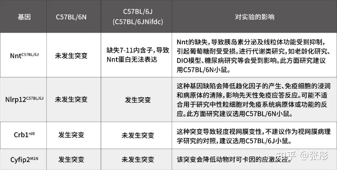 C57BL/6小鼠百科资料整理｜最全C57小鼠知识资料 - 知乎