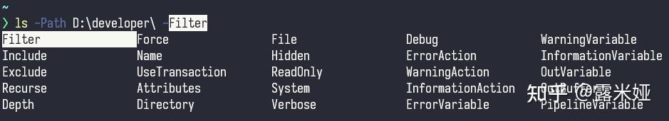 从Shell到Powershell（Powershell简易入门） - 知乎