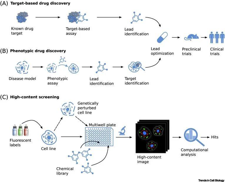 综述：表型药物发现（PDD）篇：研发FIC新药的利器 - 知乎