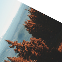 PyJNIus — 能让你在Python中轻松调用Java方法 - 知乎