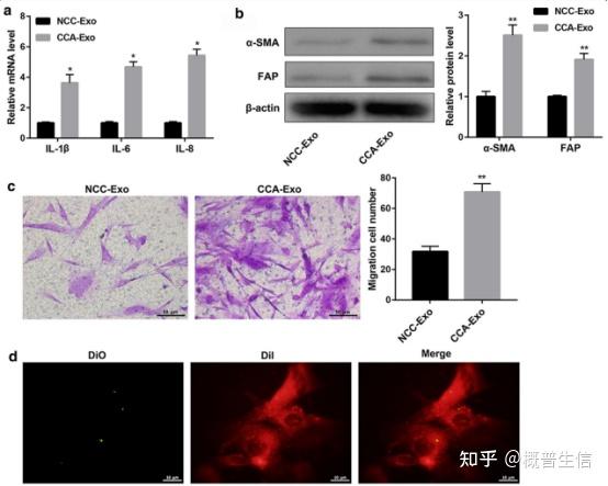 SCI热点 | CAF最强汇总来啦 - 知乎