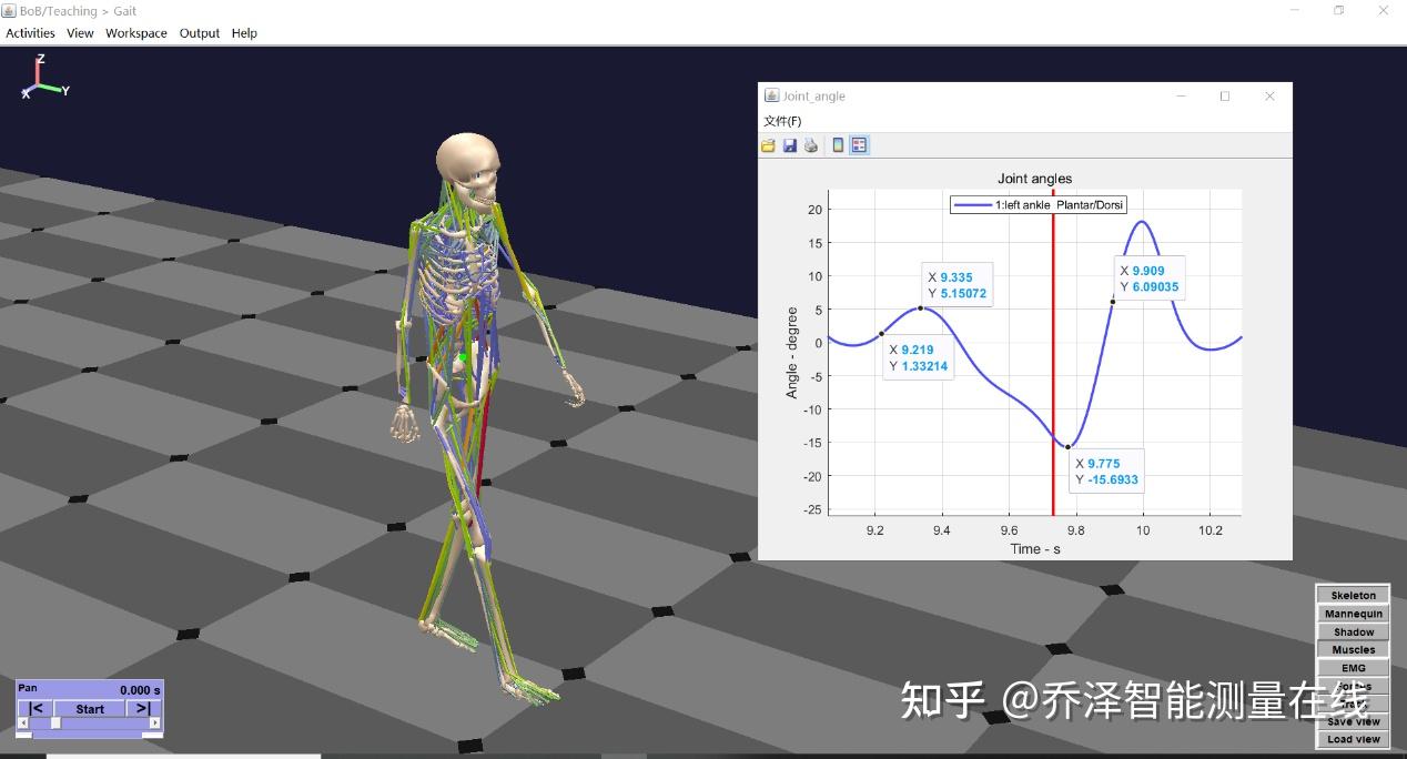 BOB教学版：与您一起发现使用人体运动生物力学模型学习的美妙！（探索步态运动） - 知乎