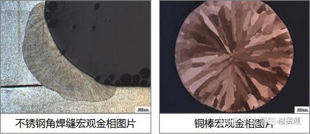 一文看懂金属显微结构分析（ - 知乎